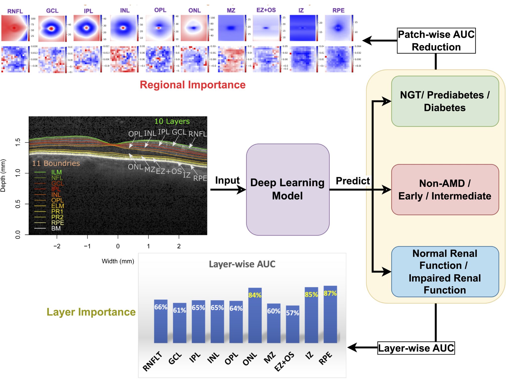 Home - Harvard Ophthalmology AI Lab